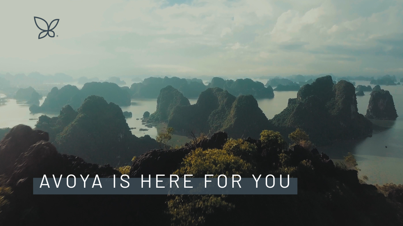 Newsroom | Join Avoya Network™