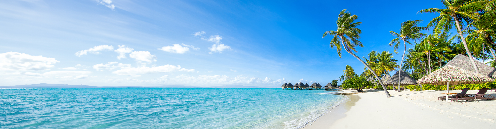 Your Guide to California's New Honest Pricing Law with Avoya Travel